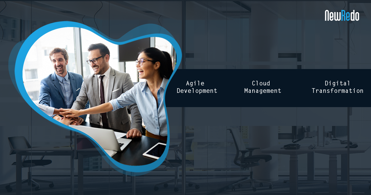 Software Development Insights